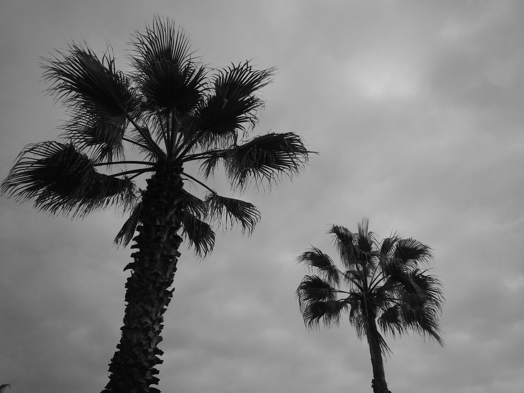 Barcelona in Black and White – best Barcelona photography